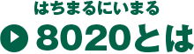 これまでの8020 | 8020推進財団